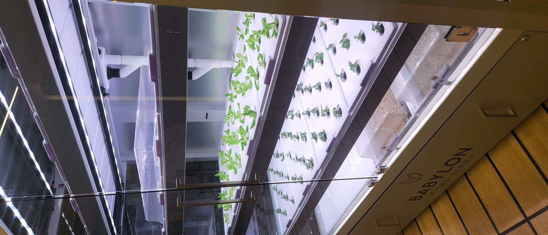 From Water to Table: The Fresh Future of Burge Dining | Office of ...